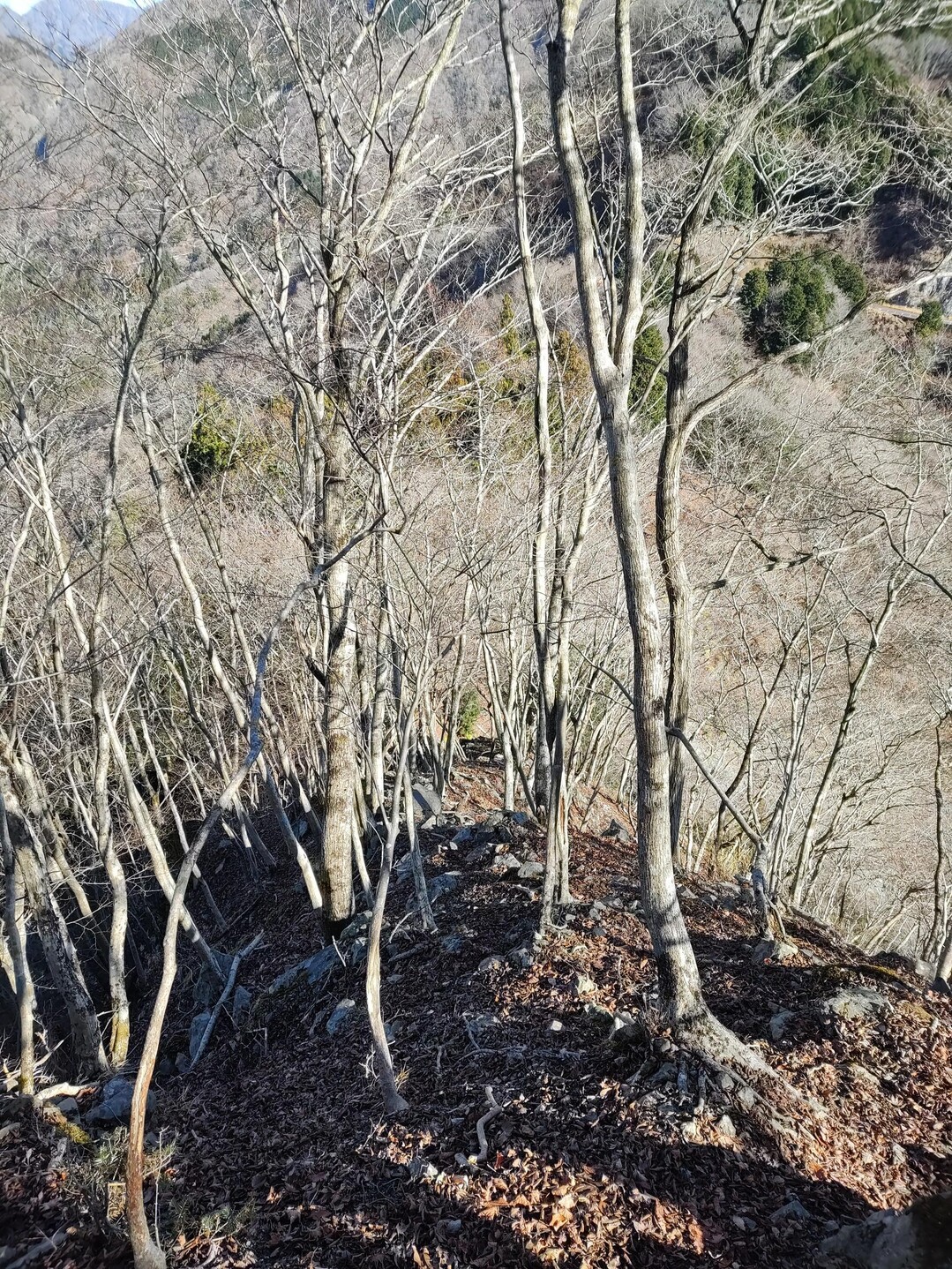 yosさんの投稿したフィールドメモ | YAMAP / ヤマップ