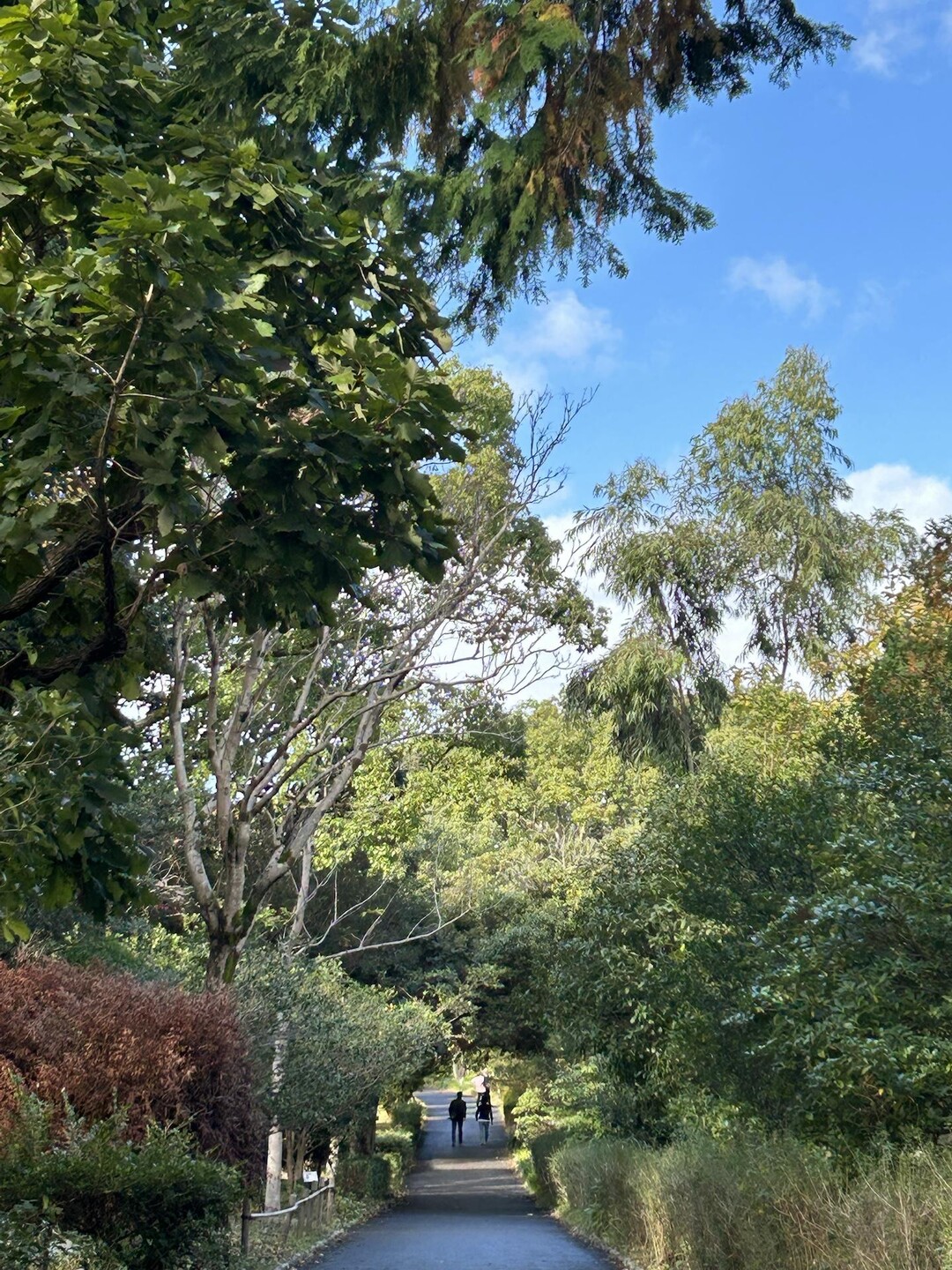 お天気が良くなってきたので ありあわせを... / mocchiさんのモーメント | YAMAP / ヤマップ