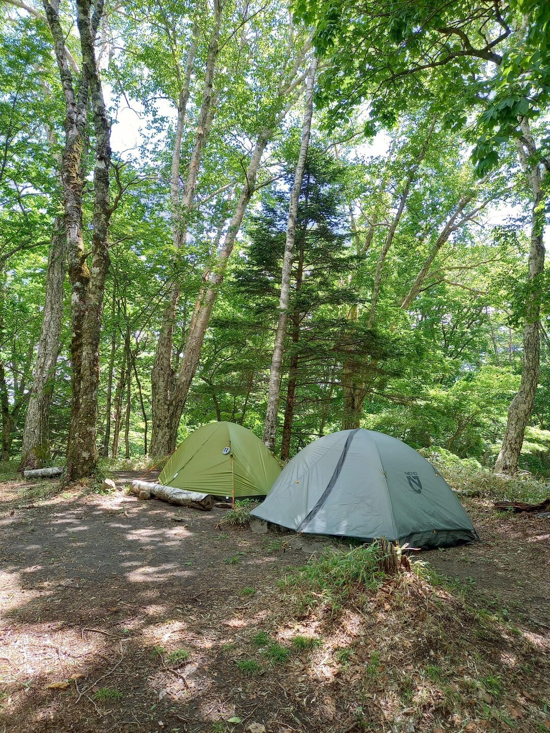 大菩薩嶺・親不知ノ頭・熊沢山 / ayakootaさんの大菩薩嶺・鶏冠山・大マテイ山の活動データ | YAMAP / ヤマップ