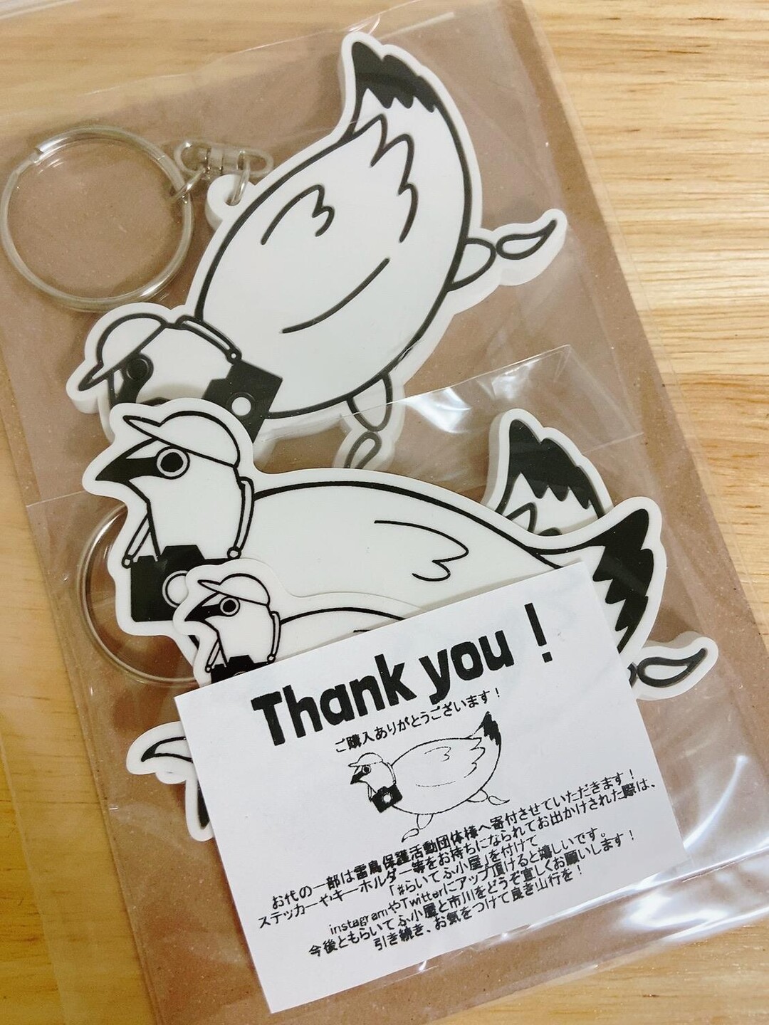 大好きな雷鳥さんの新しいアイテムを手に入... / mikiさんのモーメント | YAMAP / ヤマップ