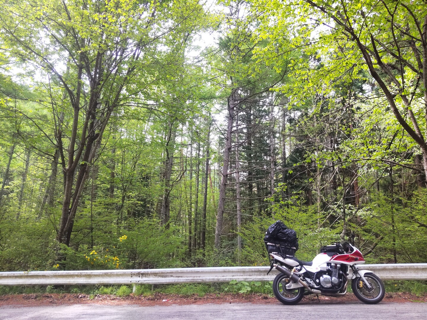 ぷらり東北バイク登山旅 day 8 日本百名山 美ヶ原（王ヶ頭） / CB1300SBさんの美ヶ原の活動データ | YAMAP / ヤマップ