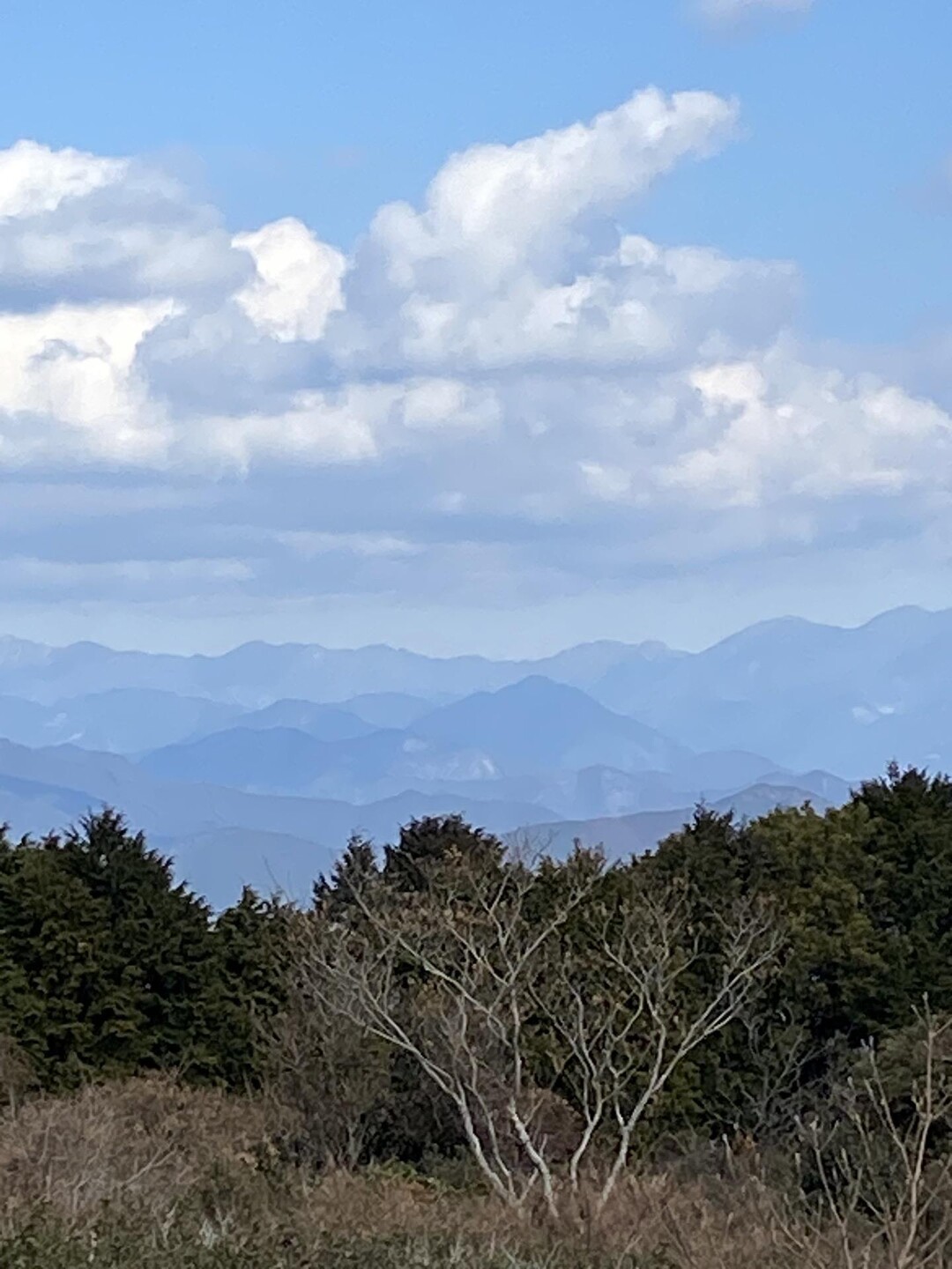 今日は富士山見えませんでした。🗻 / miuさんのモーメント | YAMAP / ヤマップ