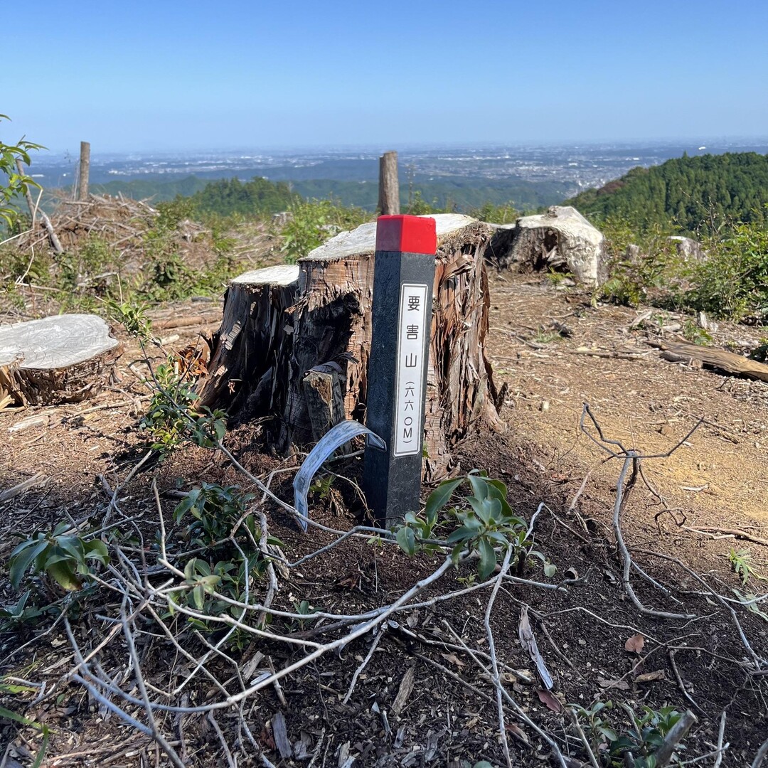 jjさんの投稿したフィールドメモ | YAMAP / ヤマップ