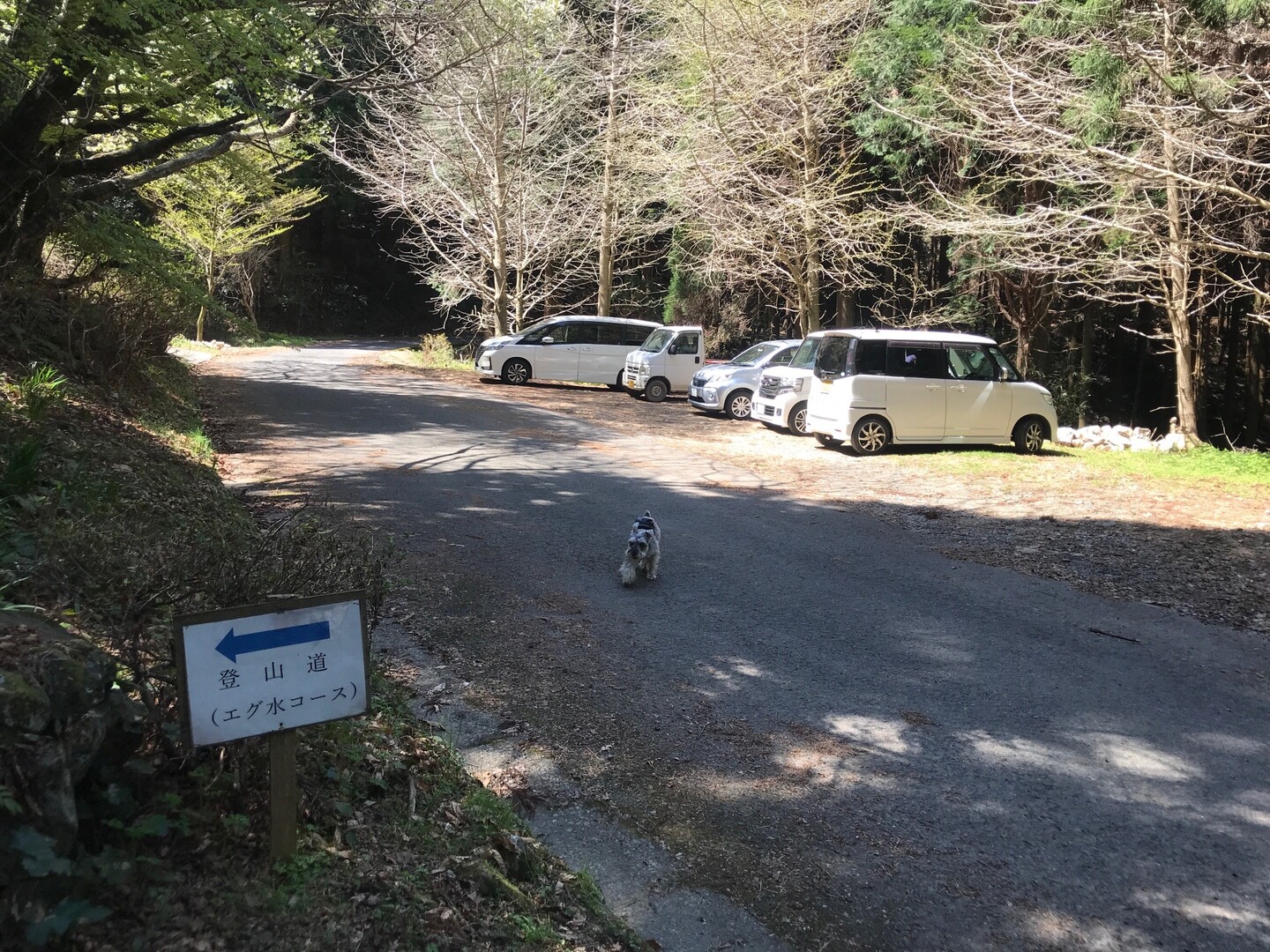 Meeyaさんの投稿したフィールドメモ | YAMAP / ヤマップ