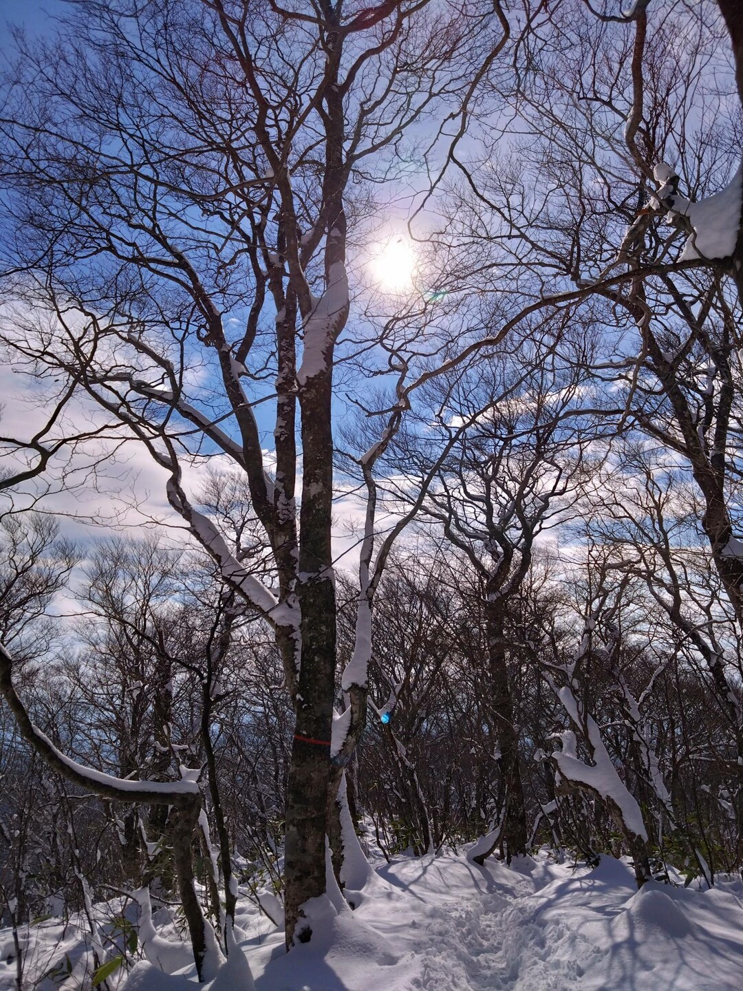 今年初の雪山⛄北泉ヶ岳・泉ヶ岳 / ma-mamaさんの船形山（御所山）・泉ヶ岳・蛇ヶ岳の活動データ | YAMAP / ヤマップ