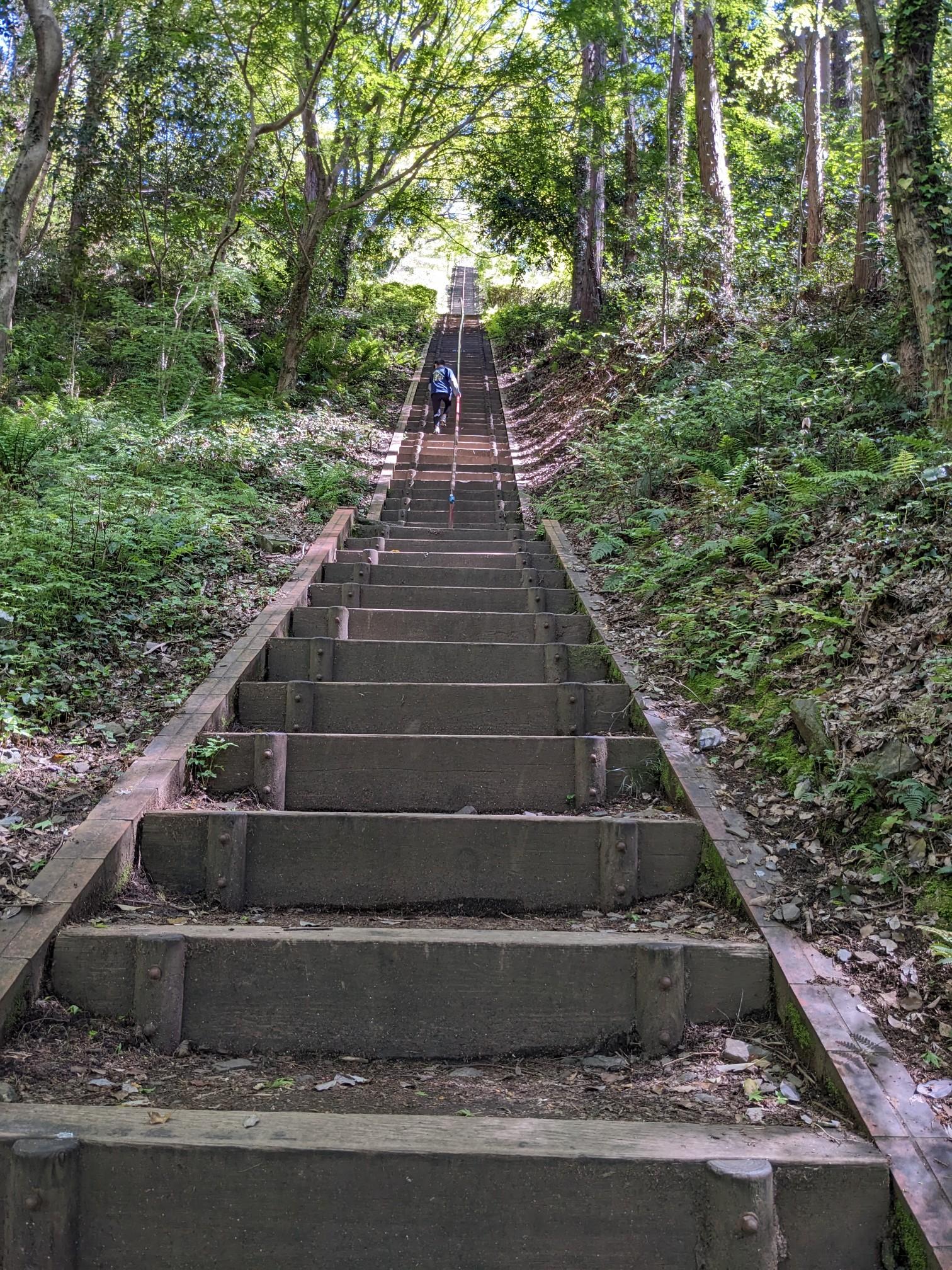 朝日山 階段トレーニング / mkhkさんの朝日山の活動データ | YAMAP / ヤマップ