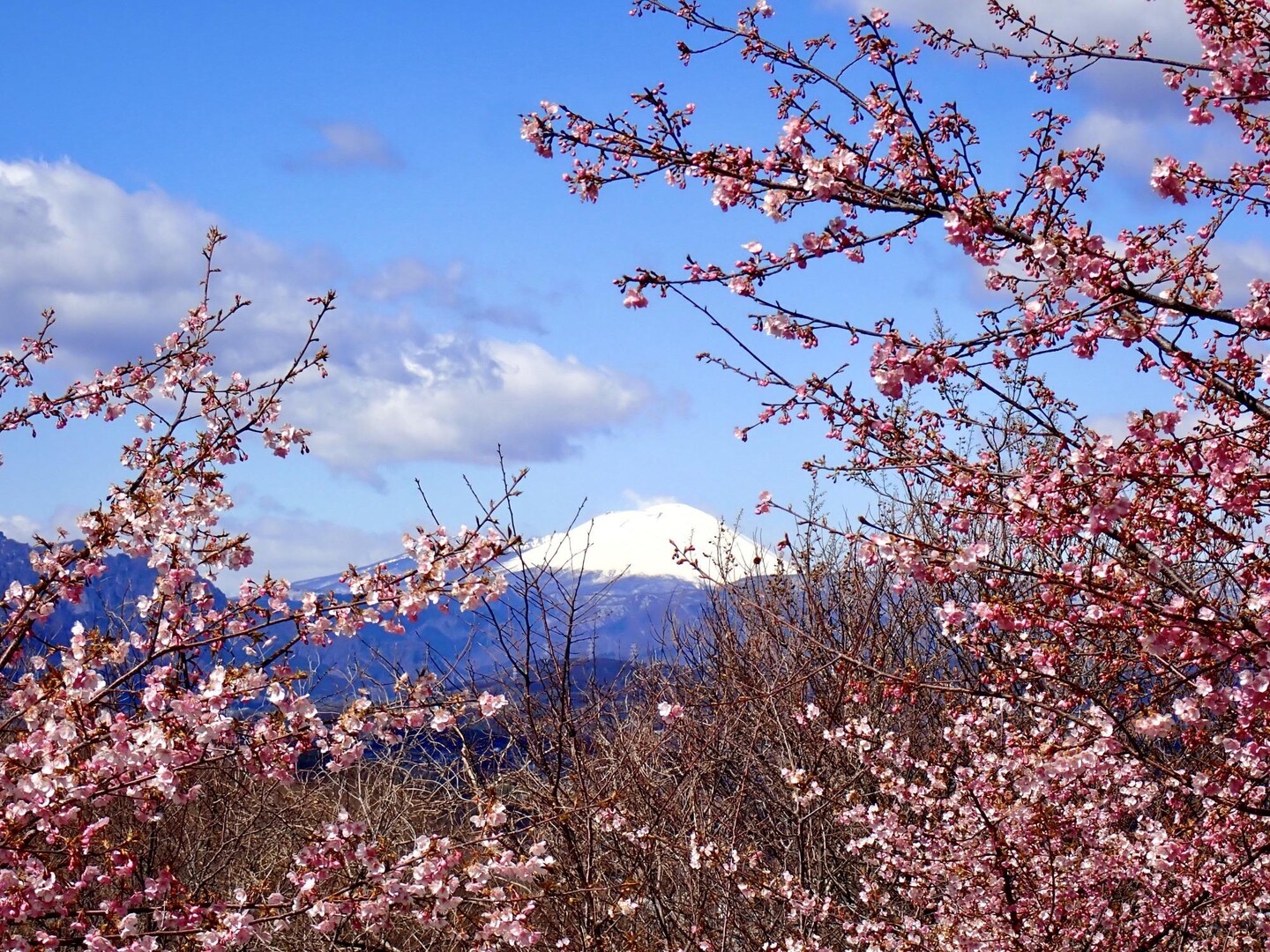 崇台山 / maiさんの崇台山の活動データ | YAMAP / ヤマップ
