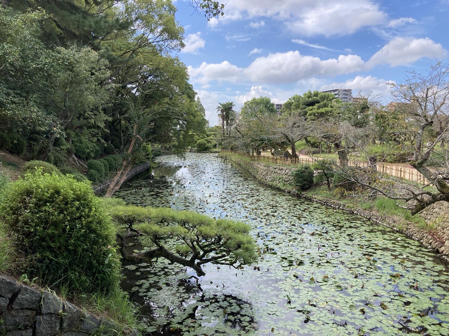 道後温泉と湯築山 / Ypaaさんの四国遍路その15の活動データ | YAMAP / ヤマップ