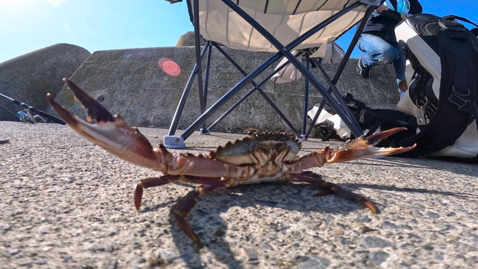 家族で海釣りへ 糸を垂らしても、 一匹も... / issさんのモーメント | YAMAP / ヤマップ