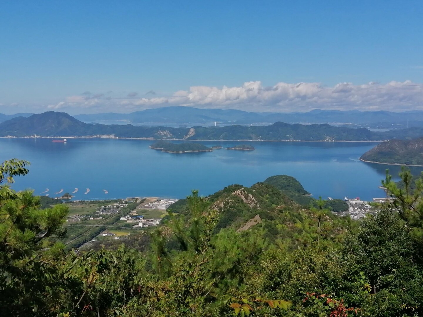 鷲ヶ頭山 ワシga父サン ウチha母サン / ヨッコイ正一さんの鷲ヶ頭山・安神山の活動データ | YAMAP / ヤマップ