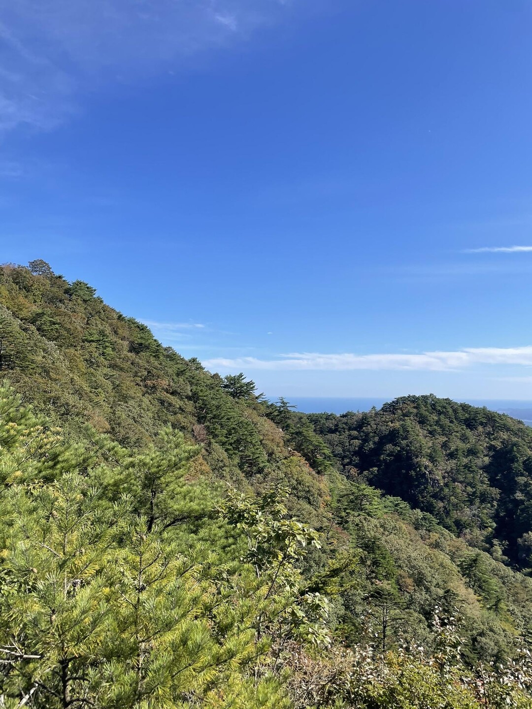 男体山・女体山・二ッ箭山 / sammyくんさんの二ッ箭山・三森山・猫鳴山の活動データ | YAMAP / ヤマップ