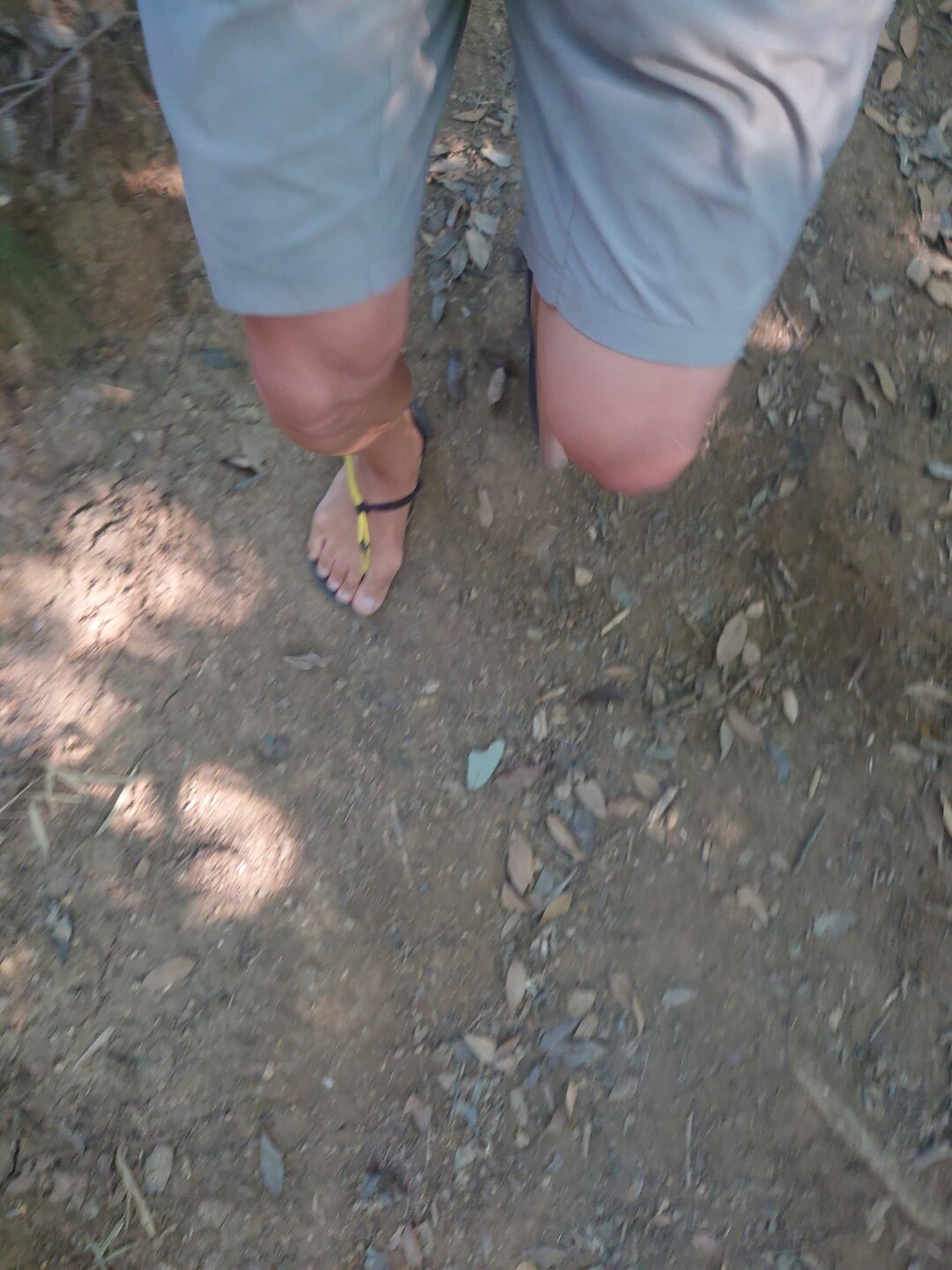 お寝坊ラン / ta2さんの鳴神山・吾妻山の活動データ | YAMAP / ヤマップ