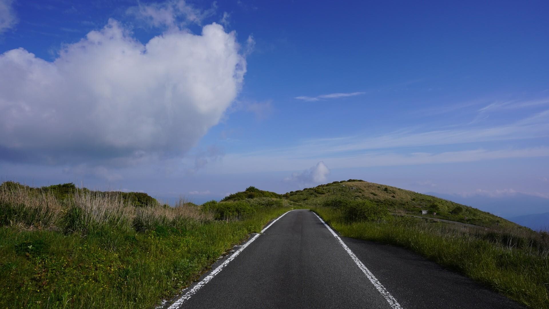 大川嶺・笠取山2024.6.2 / ENAJIさんの笠取山・大川嶺・ウバホド山の活動データ | YAMAP / ヤマップ