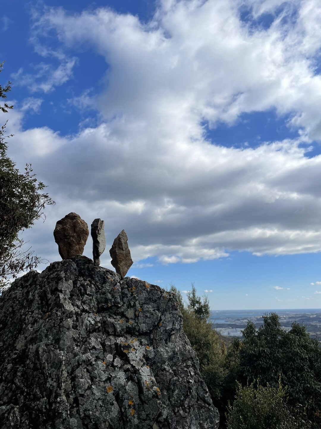 東山・雲谷山・座談山・船形山・神石山 ・嵩山 / HALさんの坊ヶ峰・石巻山・神石山・葦毛湿原の活動データ | YAMAP / ヤマップ