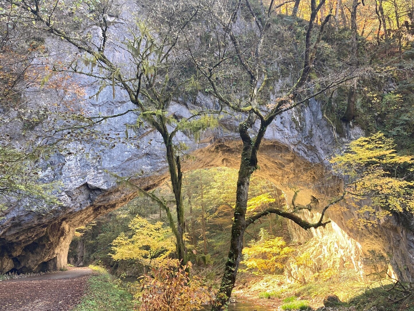 まだまだ👌上帝釈🍁 / ふみちゃんさんのモーメント | YAMAP / ヤマップ