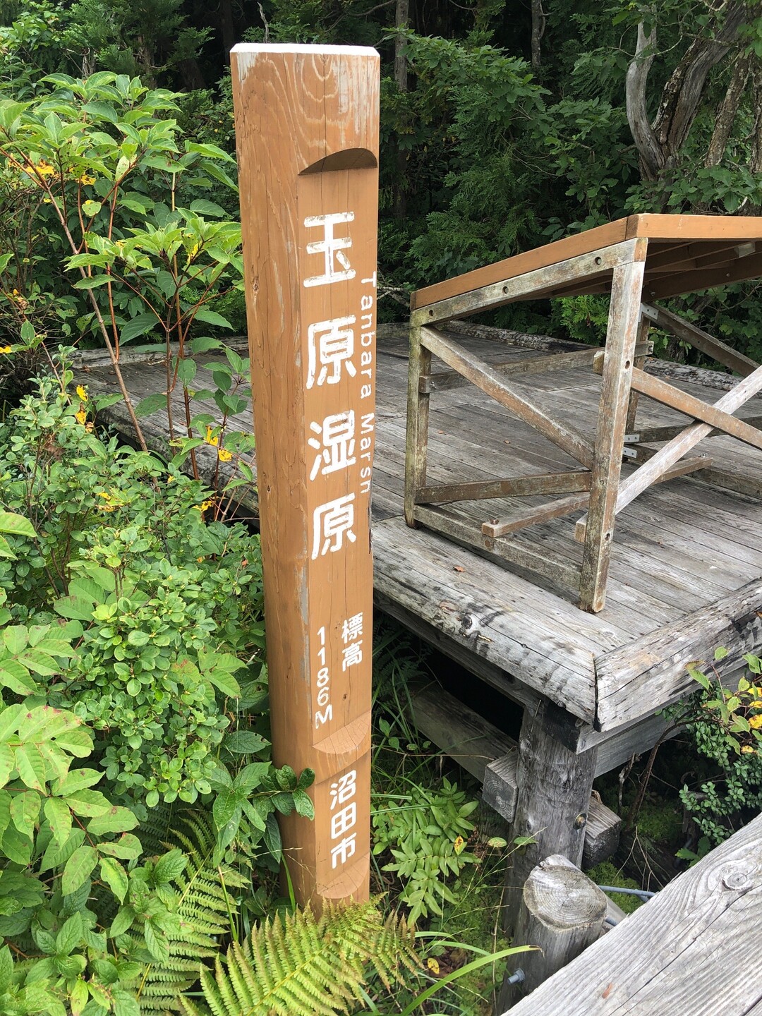 鹿俣山_2022-09-03 / FJ-Zさんの武尊山・鹿俣山・尼ヶ禿山の活動データ | YAMAP / ヤマップ