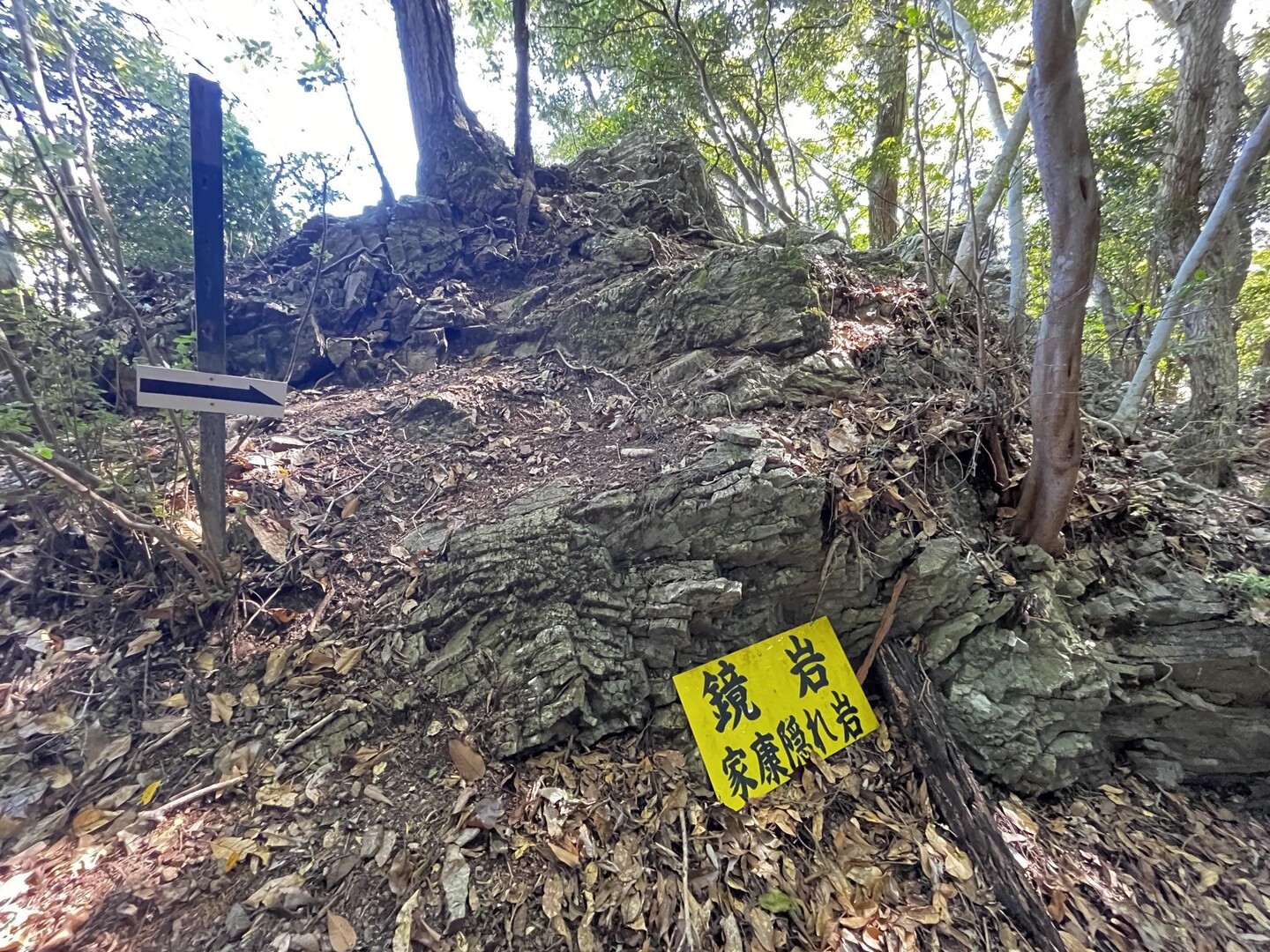 みずさんの投稿したフィールドメモ | YAMAP / ヤマップ