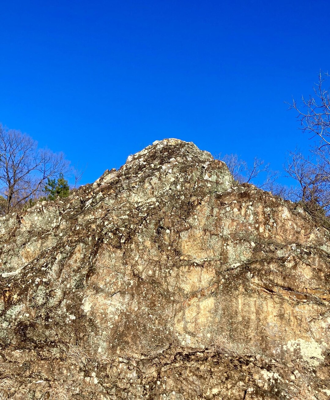 中村富士と唐沢城 / Mt.Mikiさんの太平山・晃石山・唐沢山の活動データ | YAMAP / ヤマップ