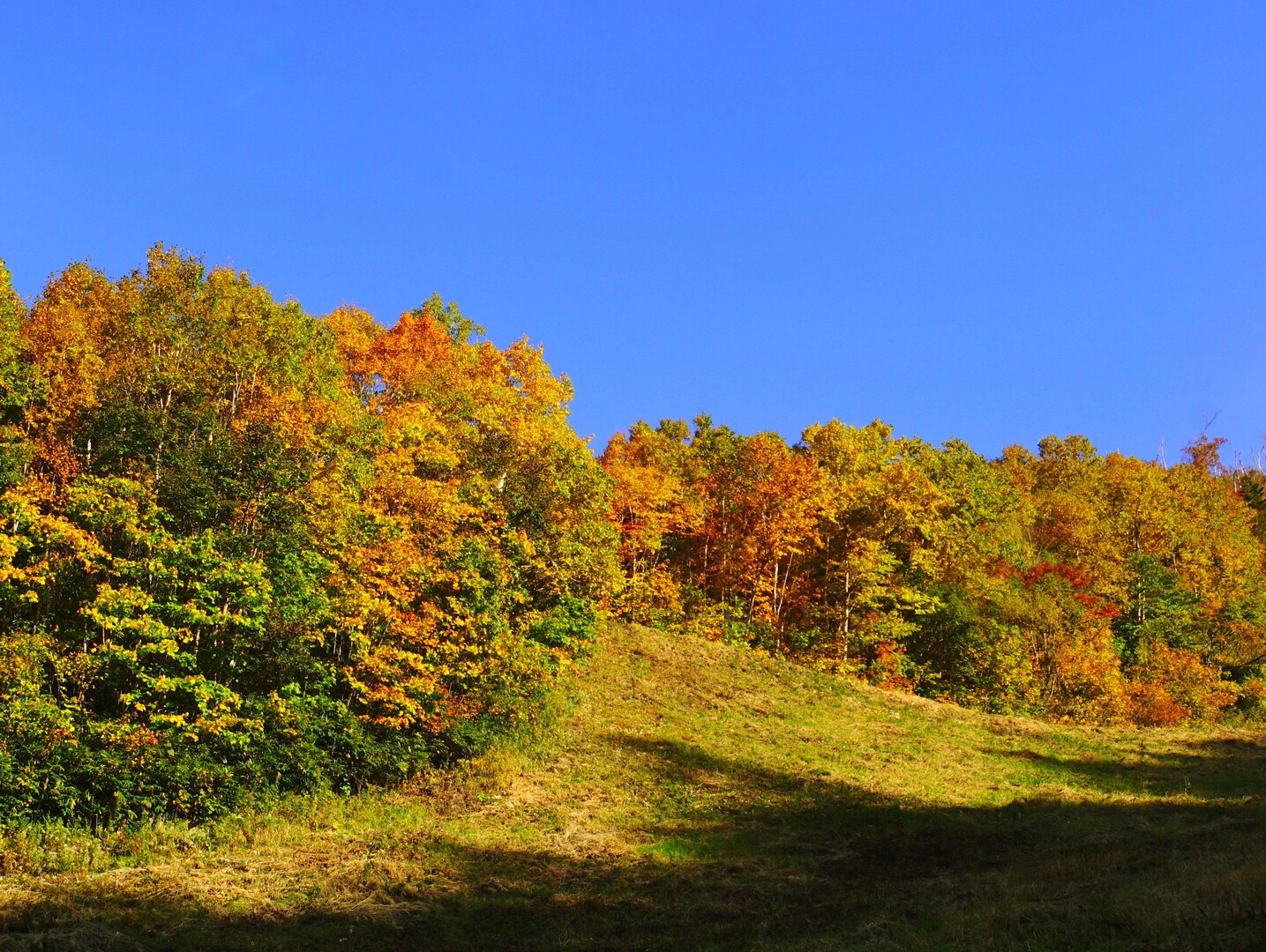 紅葉が始まった手稲山・ネオパラ / isaさんの手稲山・奥手稲山の活動データ | YAMAP / ヤマップ