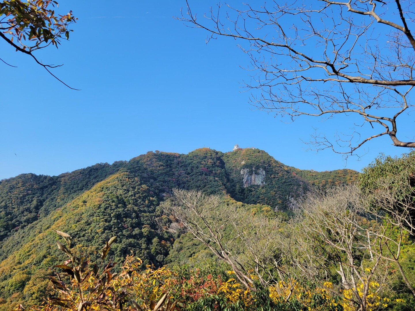 鷹巣山・洞山・野一色権現山 / Rさんの金華山・洞山・舟伏山の活動データ | YAMAP / ヤマップ