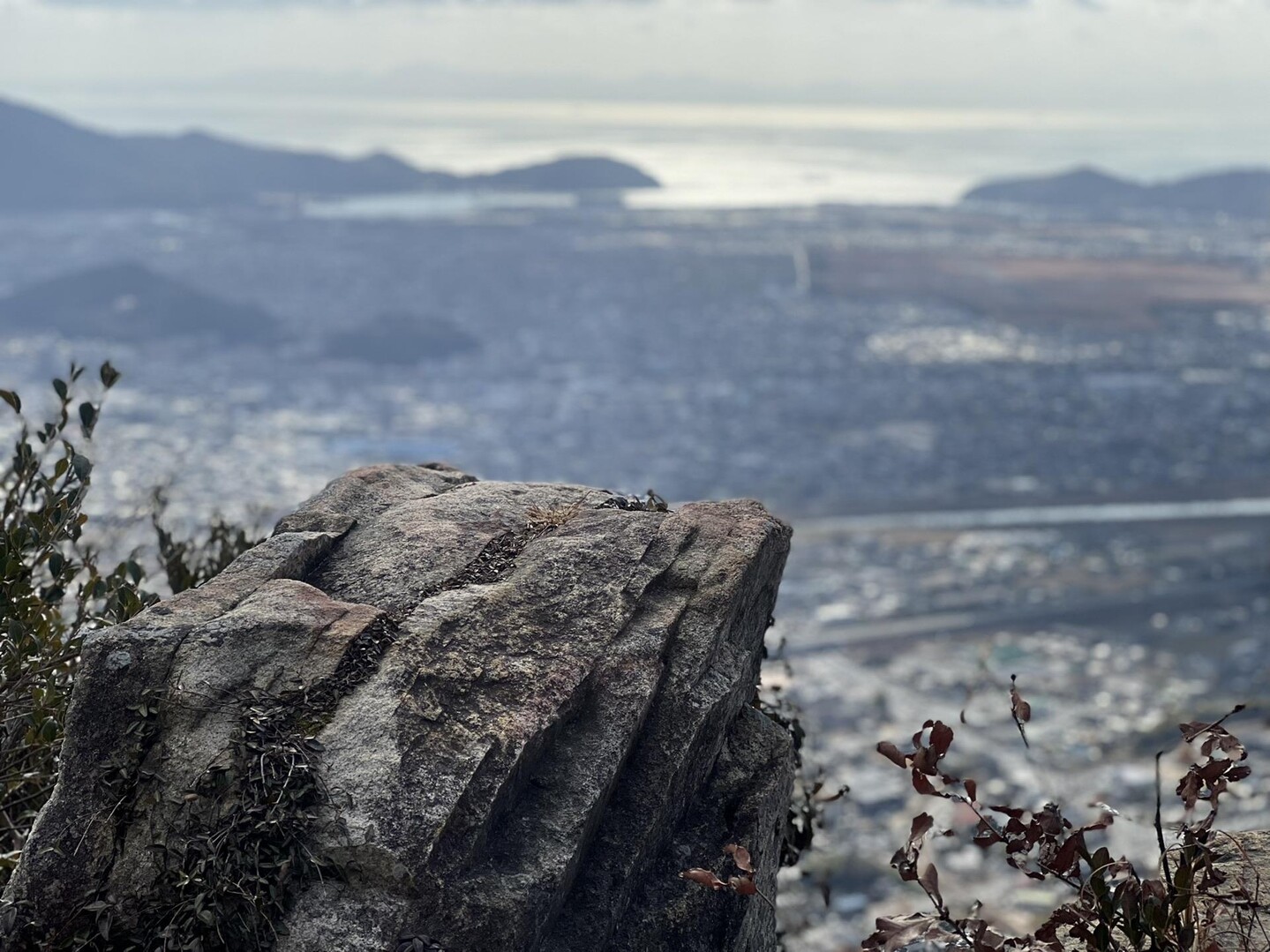 右田ヶ岳 / chobeeさんの右田ヶ岳・西目山・楞厳寺山の活動データ | YAMAP / ヤマップ