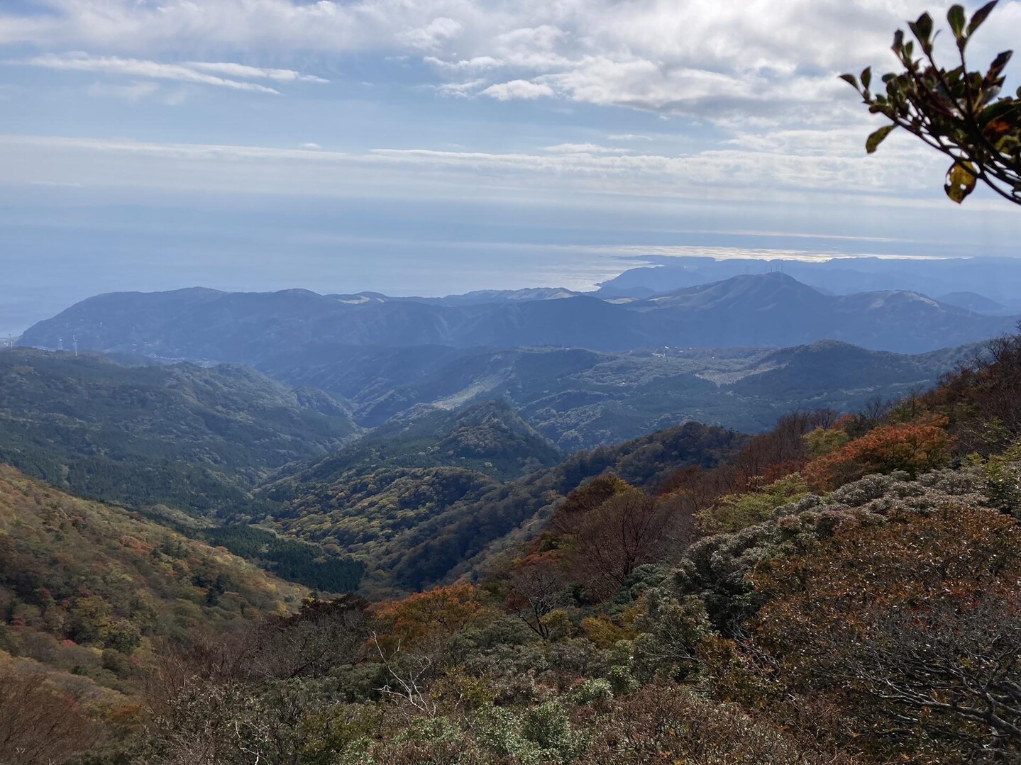 海が見渡せる天城山へ / assiさんの天城山・鉢ノ山・三筋山の活動データ | YAMAP / ヤマップ