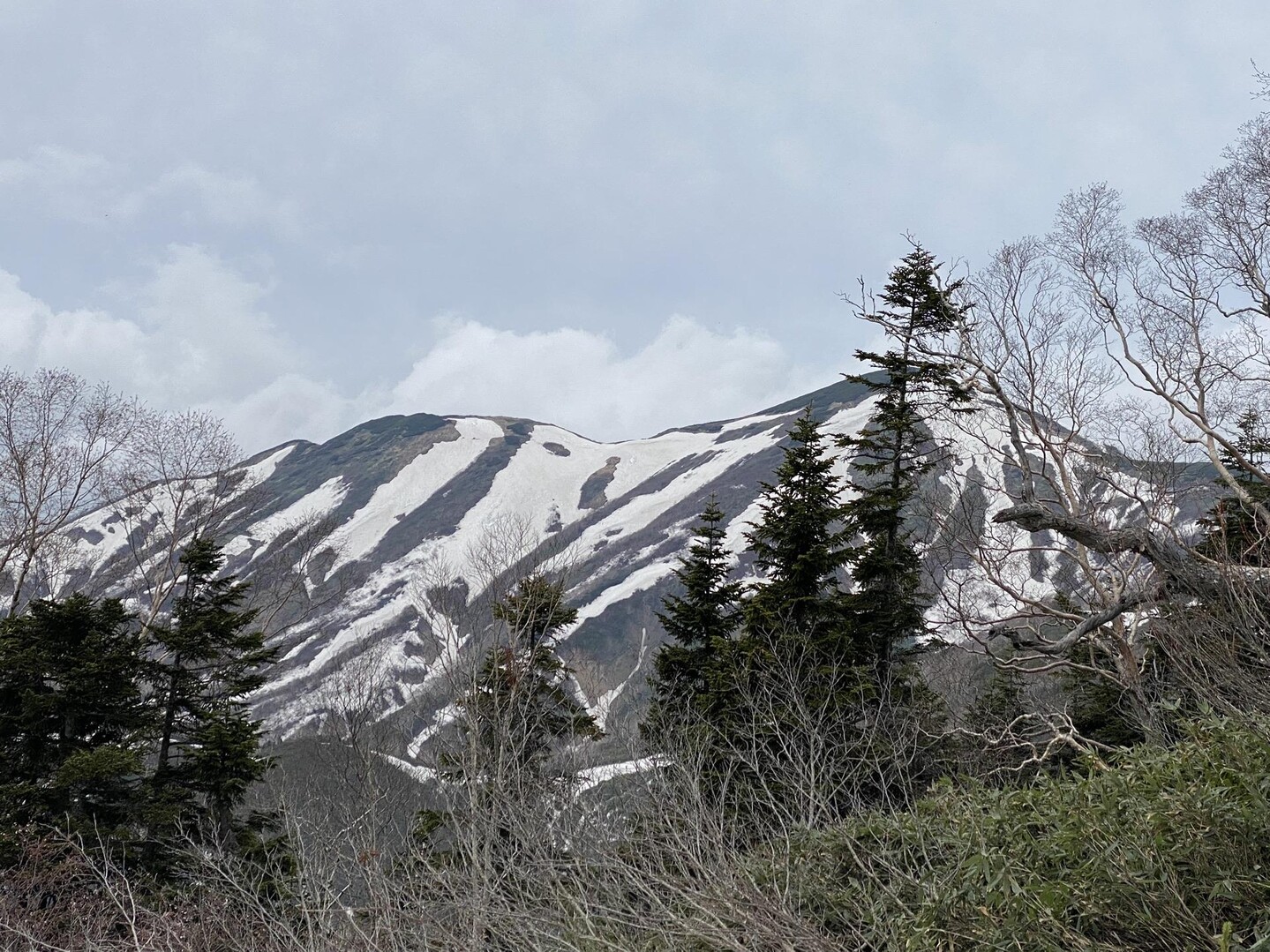 火打山・影火打 / tutuさんの妙高山・火打山の活動データ | YAMAP / ヤマップ