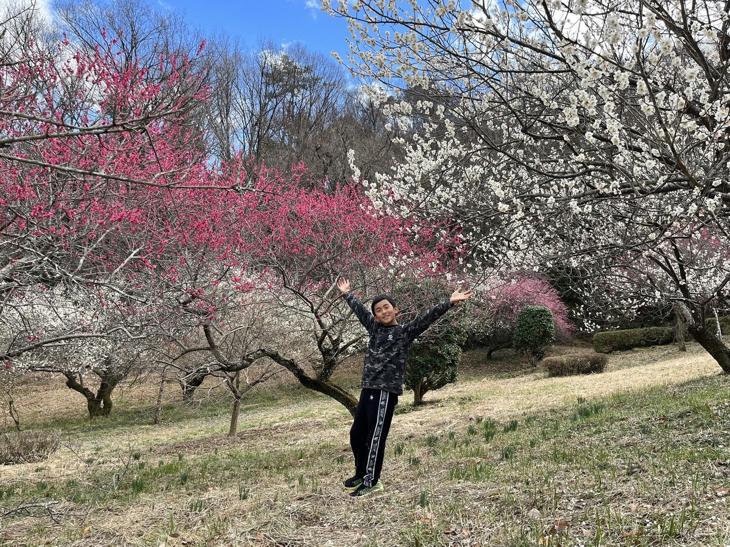 家に帰るとすっかり春って感じ～ 南会津ま... / yamameさんのモーメント | YAMAP / ヤマップ