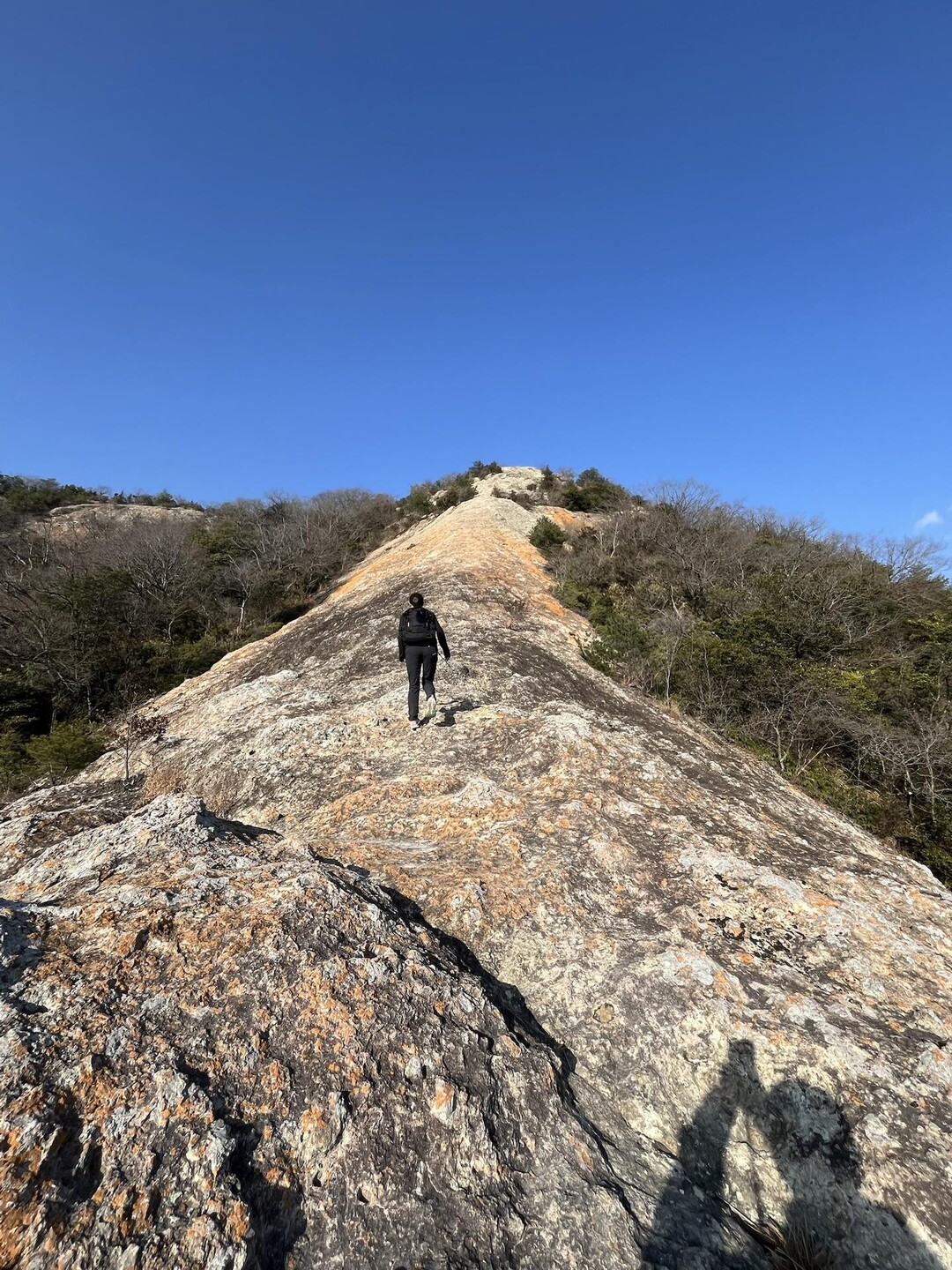 おかわりで紅山 / mikaさんの小野アルプス（紅山・惣山）の活動データ | YAMAP / ヤマップ