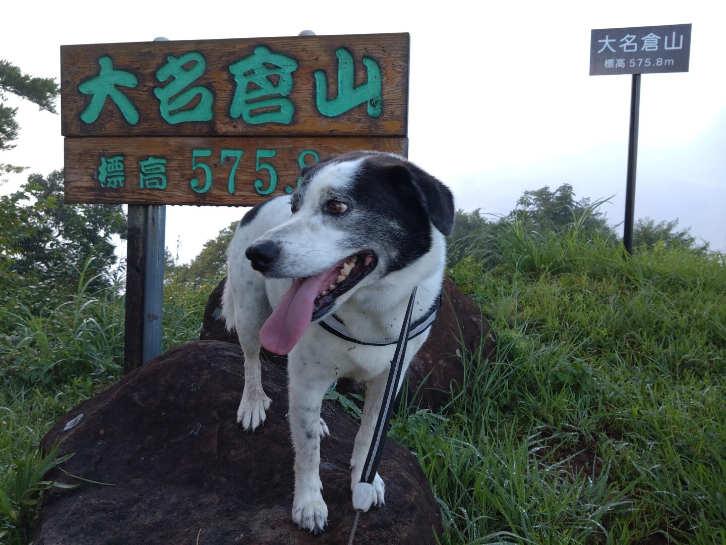 大名倉山 / kuru−ruさんの大名倉山の活動データ | YAMAP / ヤマップ