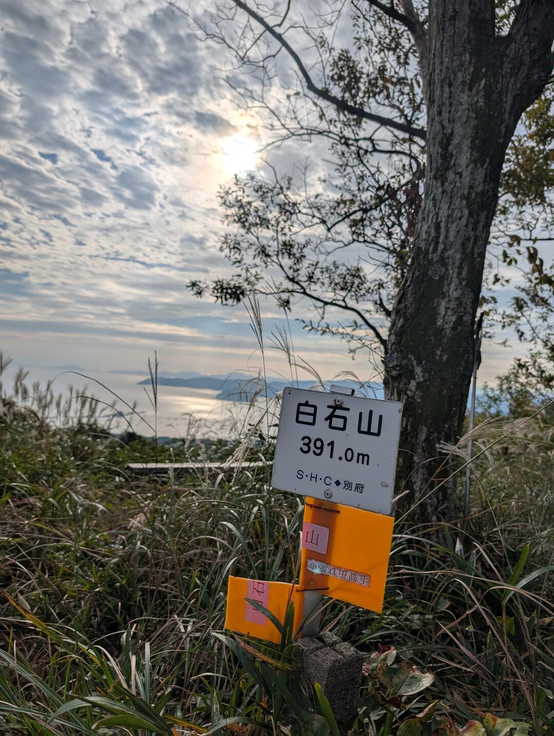 白石山・藤ノ尾山・トギシ山 / A1さんの樅木山・白石山の活動データ | YAMAP / ヤマップ