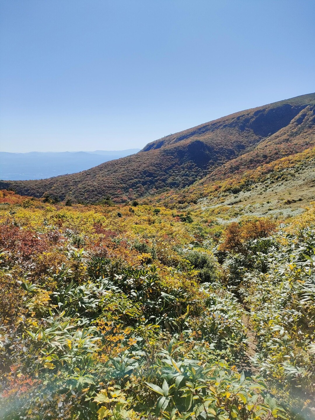薬師岳・安達太良山・矢筈森・鉄山・箕輪山 / ukeyさんの安達太良山・箕輪山・鬼面山の活動データ | YAMAP / ヤマップ