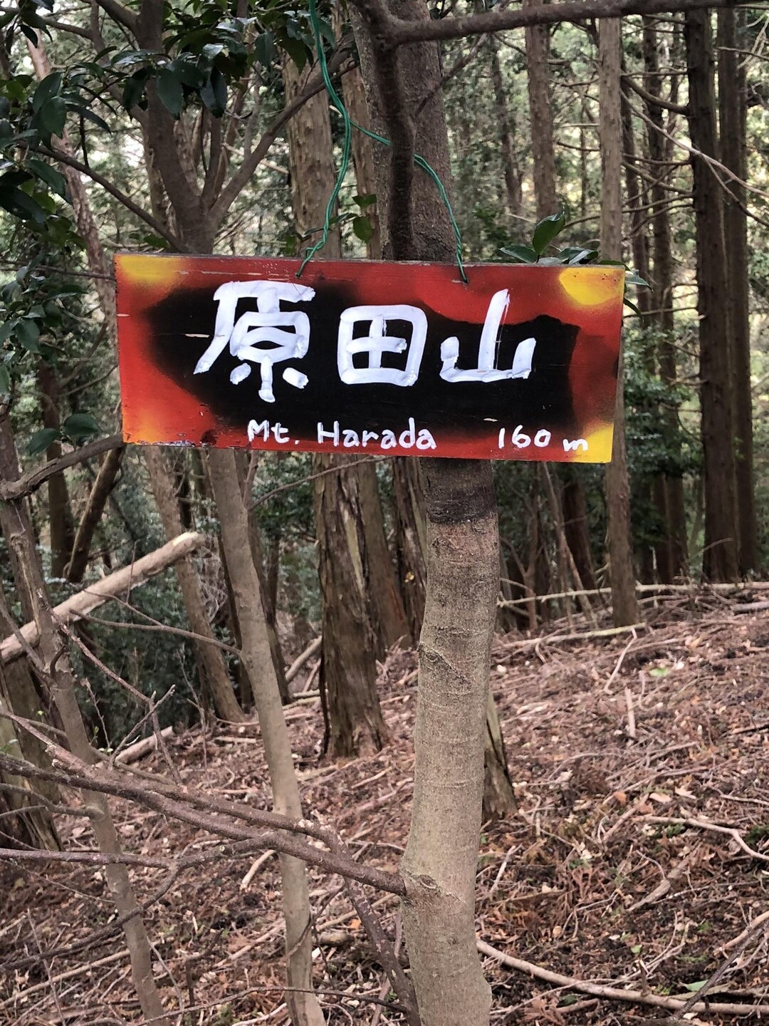 原田山 / reikoさんの犬鳴山・西山（鮎坂山）の活動データ | YAMAP / ヤマップ