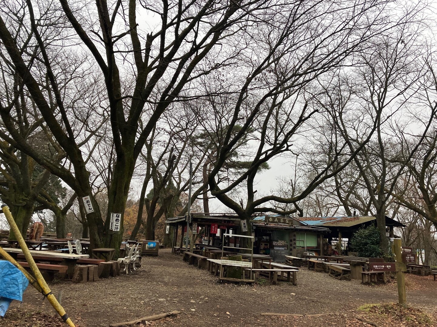 🌿AZUSA 🌸伍 🥾さんの投稿したフィールドメモ | YAMAP / ヤマップ