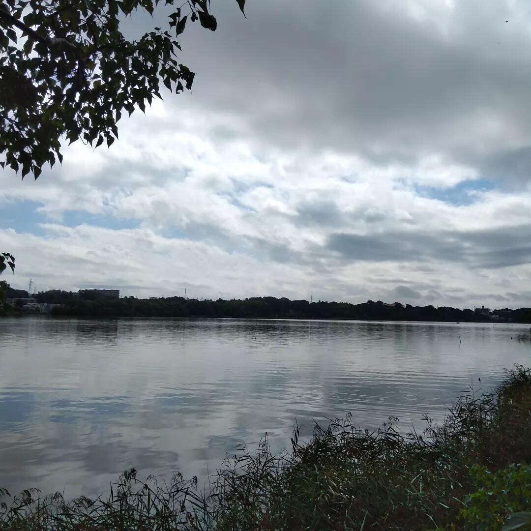 running 佐鳴湖(浜松市) 朝か... / モンチャンさんのモーメント | YAMAP / ヤマップ