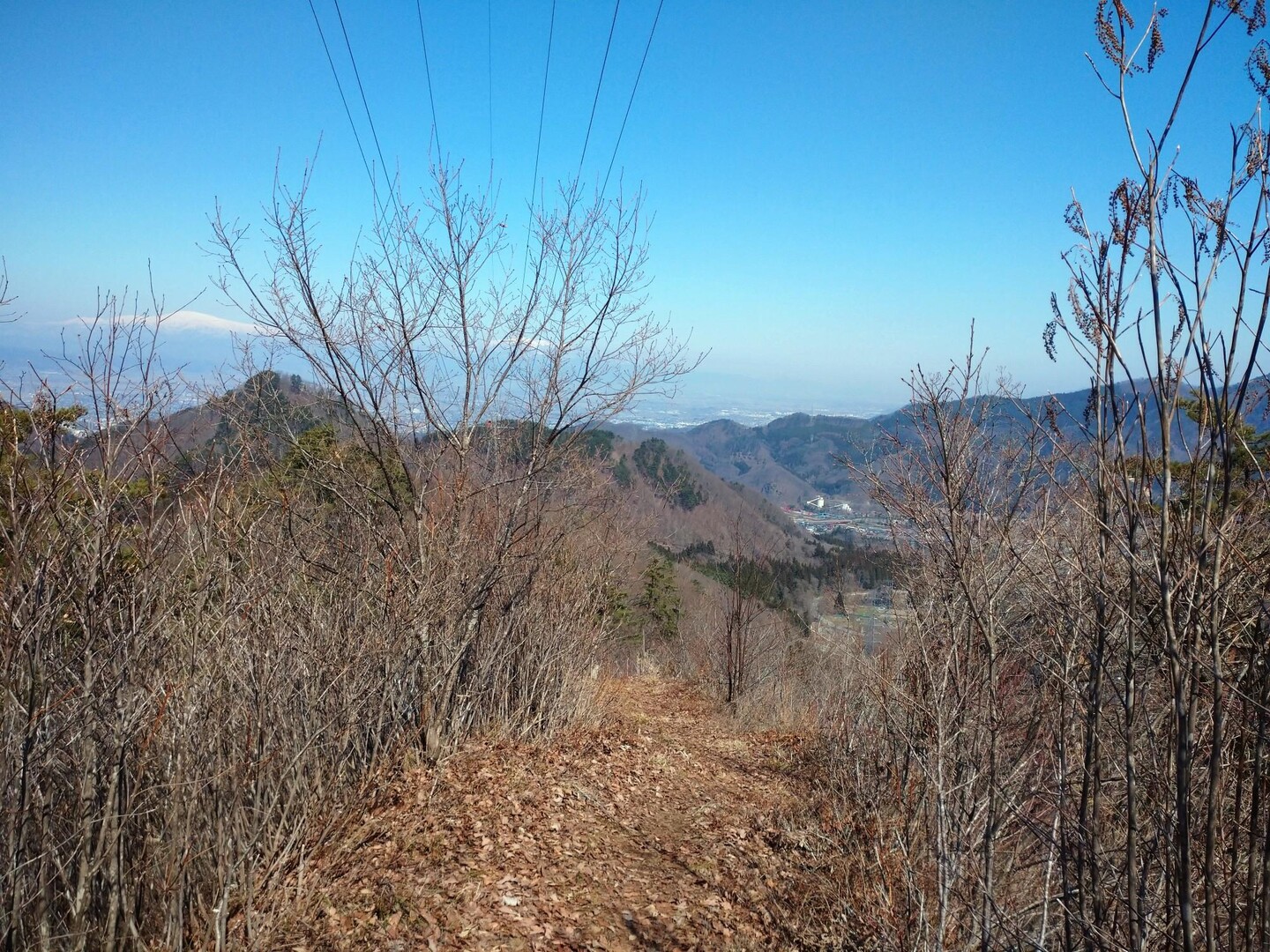 千歳周回ストレス解消トレーニング～戸神・鷹取・猿岡・大岩・護摩・山伏・丸山・千歳・秋葉・雷神 ～ / nochさんの千歳山・猿岡山・戸神山の活動データ | YAMAP / ヤマップ