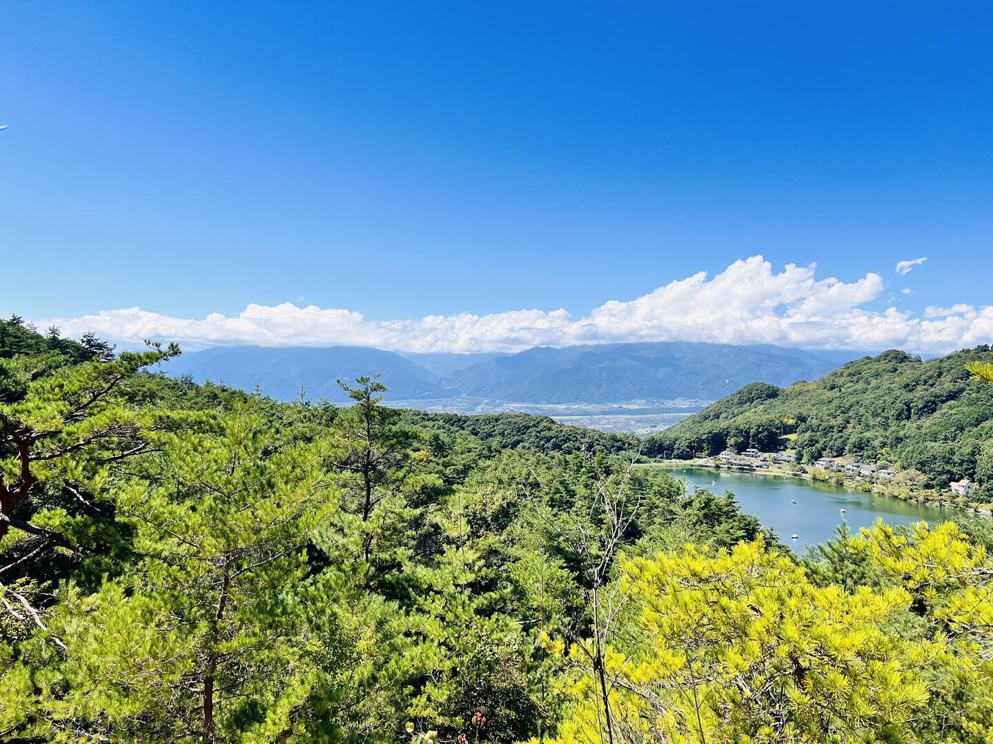 八王子山（白山） / ZUNさんの興因寺山・淡雪山・八王子山の活動データ | YAMAP / ヤマップ