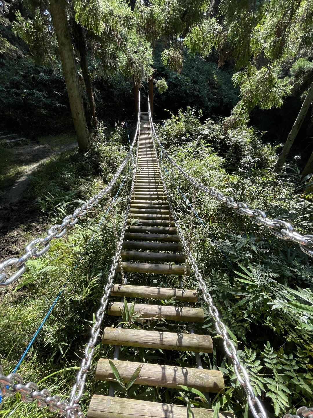 地元の五月山 名物😍 行ってきました〜... / hakuzanさんのモーメント | YAMAP / ヤマップ