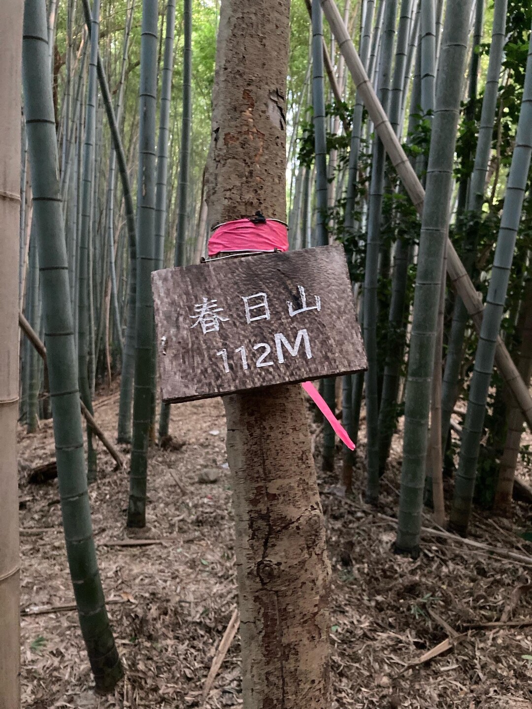 卯辰山・春日山 / naokiさんの金沢市の活動データ | YAMAP / ヤマップ