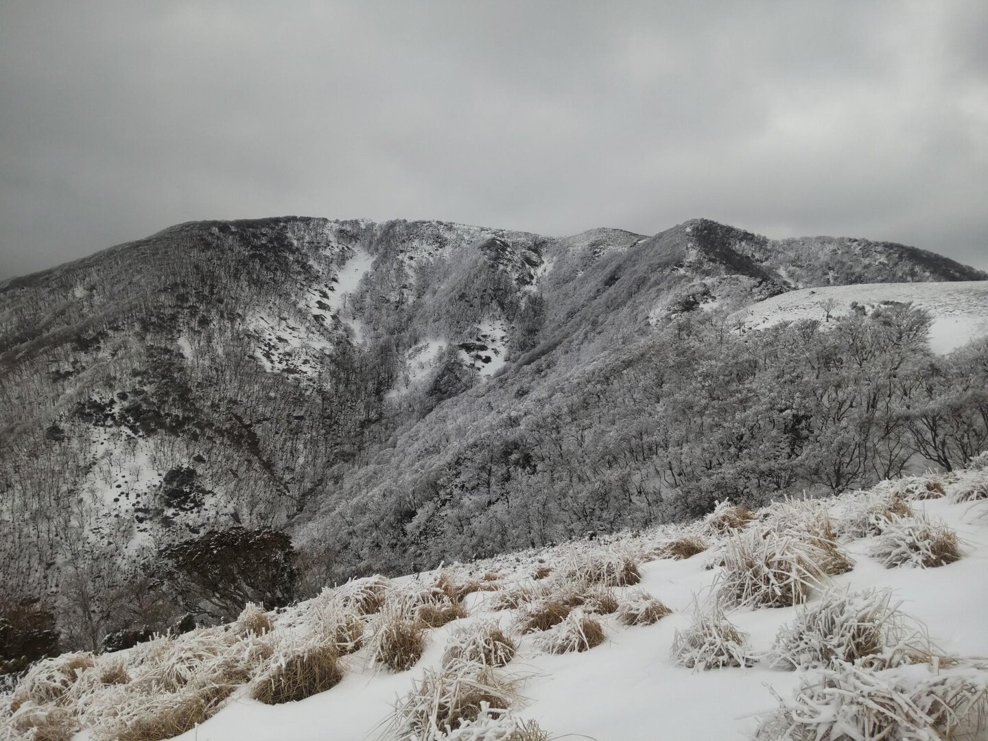 トレース泥棒で、雨乞岳 / Mt.OKA🎃さんの御在所岳（御在所山）・雨乞岳の活動データ | YAMAP / ヤマップ