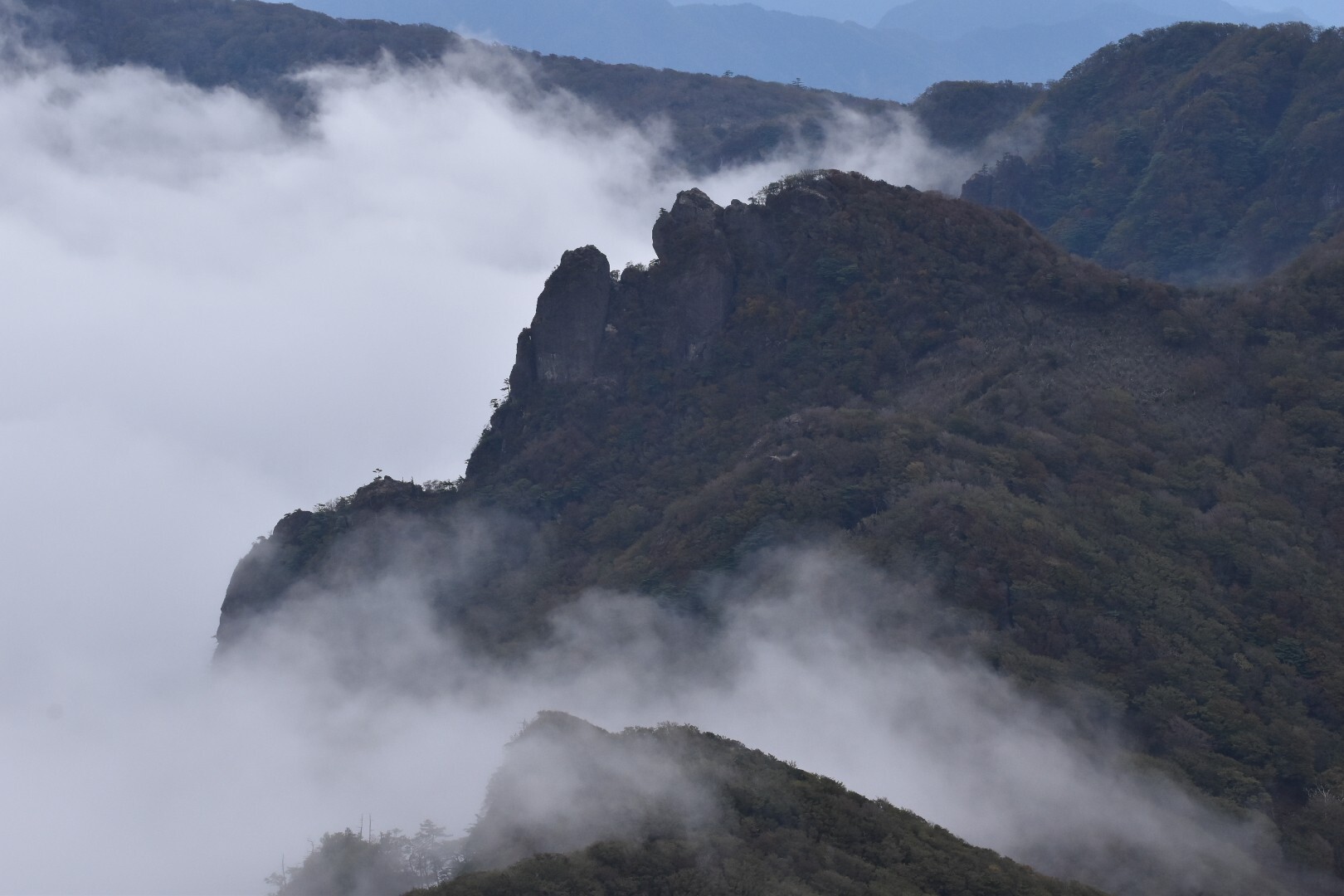 祖母山 / Morryさんの祖母山の活動データ | YAMAP / ヤマップ