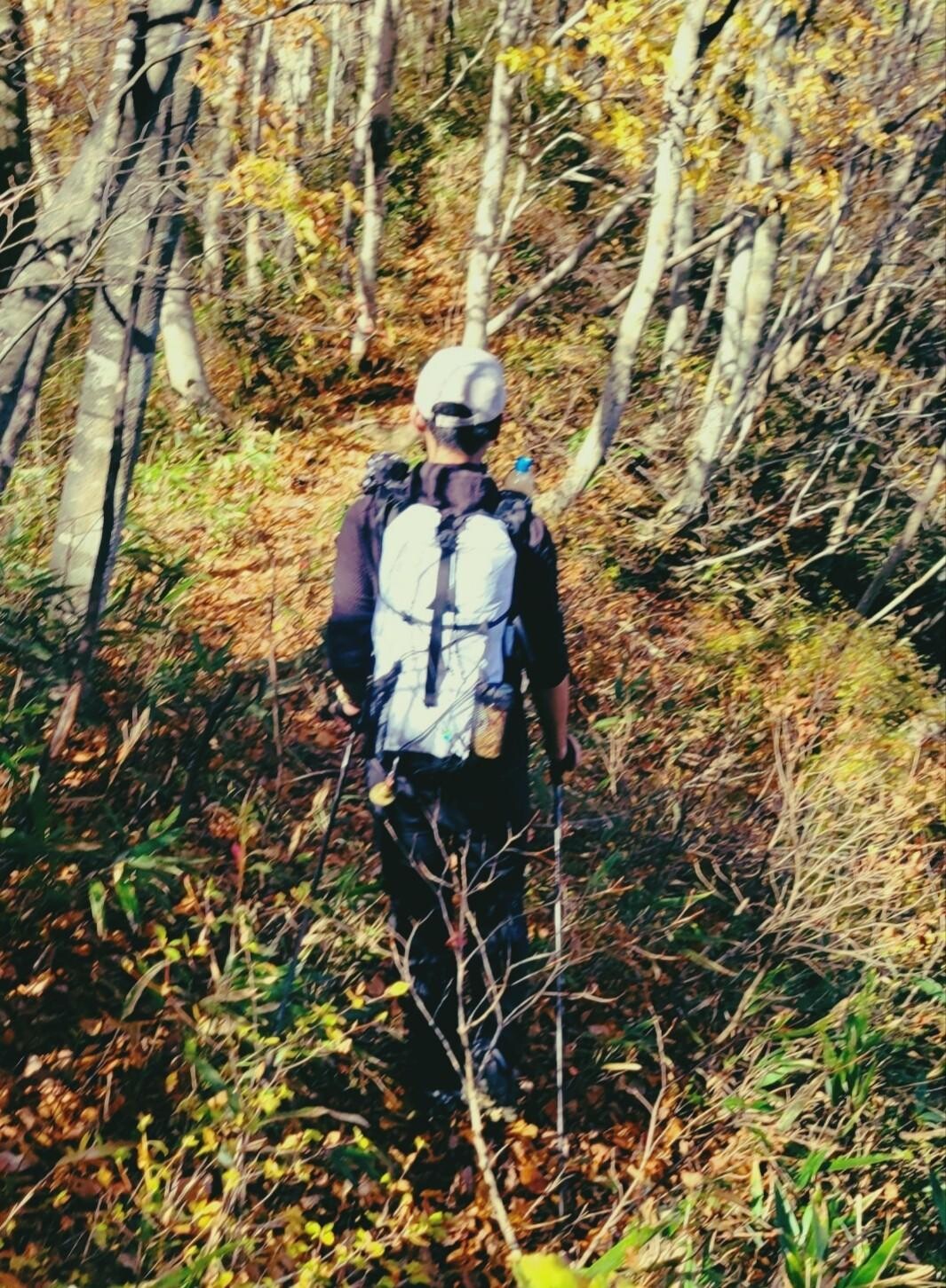 ゆう98のページ | YAMAP / ヤマップ