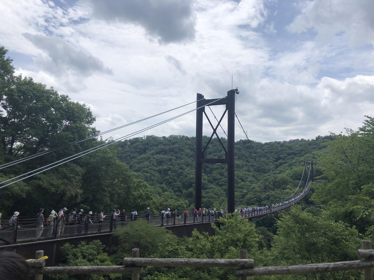 星のブランコへハイキング♫ / Sayoさんの交野山・国見山の活動データ | YAMAP / ヤマップ