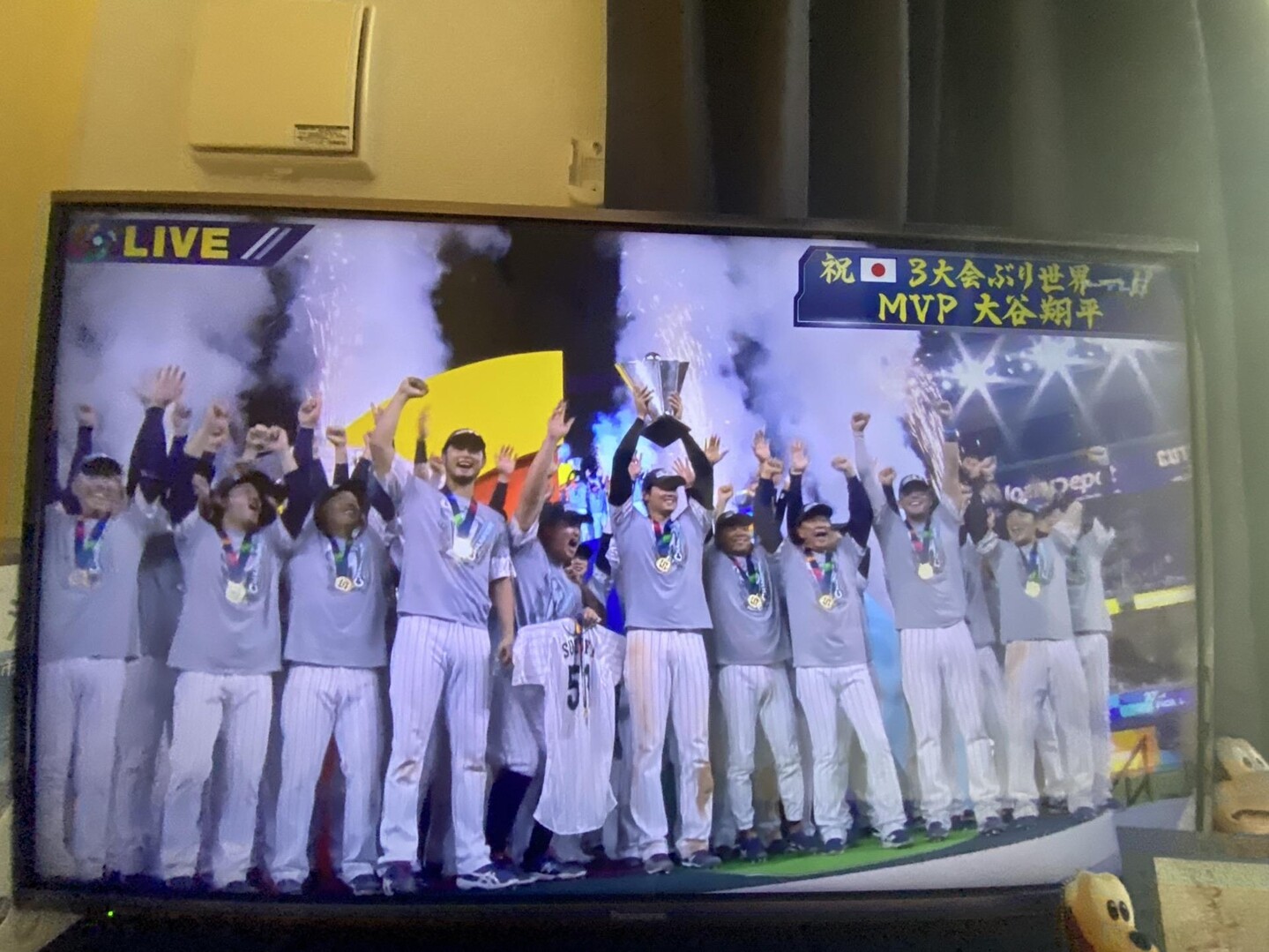 おめでとう🎊サムライジャパン🇯🇵 / イッシーさんのモーメント | YAMAP / ヤマップ