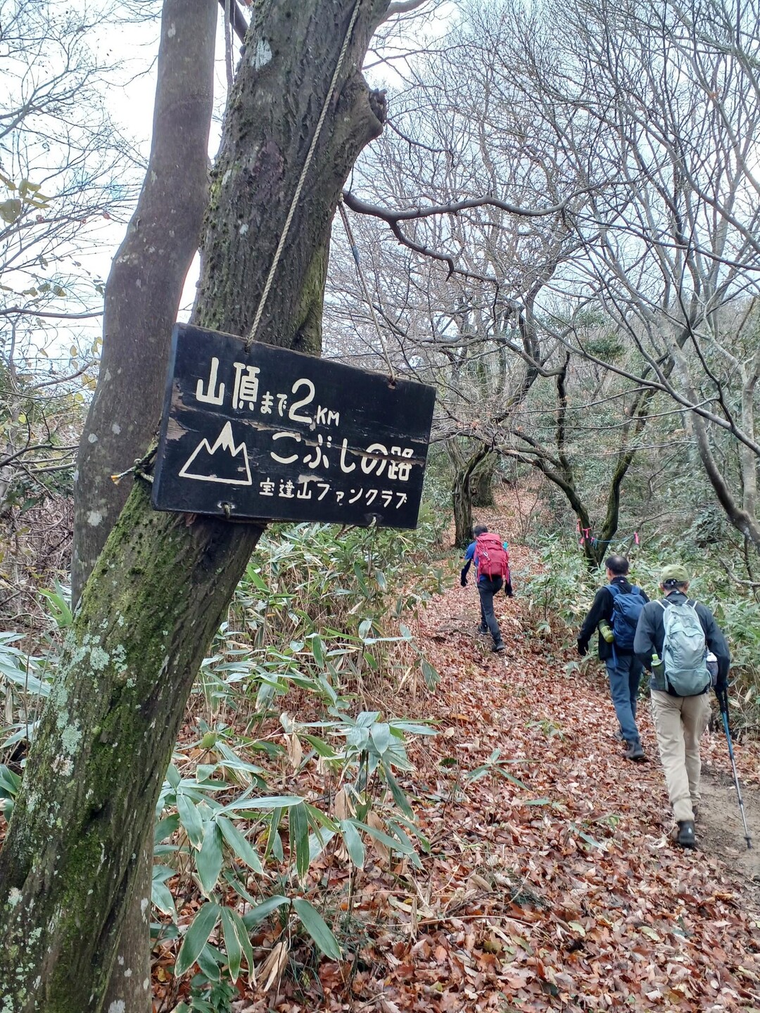 忘年会登山2日目宝達山 / hanabuさんのウォーキングの活動データ | YAMAP / ヤマップ