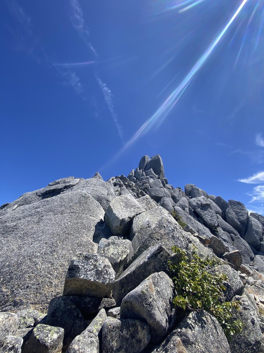 鳳凰三山へGOGO⛰️⛰️⛰️ / かきおさんの鳳凰山・地蔵岳・観音岳・薬師岳の活動データ | YAMAP / ヤマップ