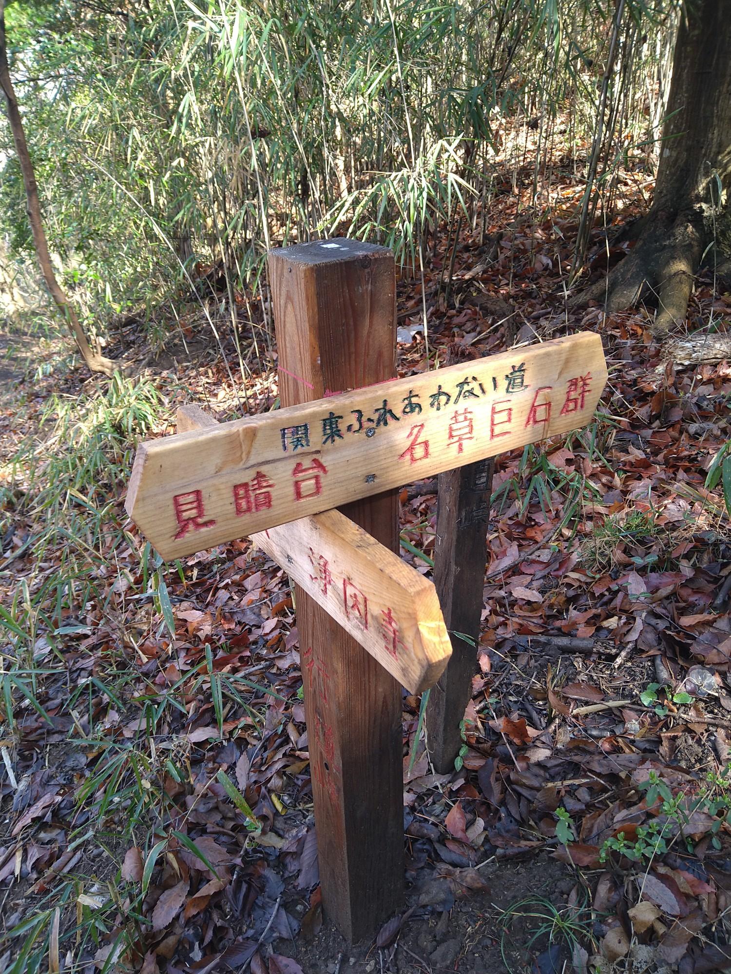 馬打山・行道山・大岩山・黒岩山・小天狗・裏天狗・両崖山・紫山・天狗山・かわら山・つる山・須永山... / moxさんの両崖山・仙人ヶ岳・石尊山の活動データ | YAMAP / ヤマップ