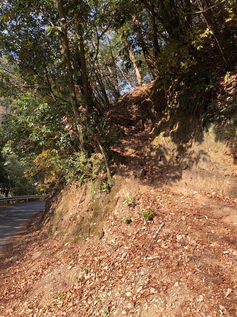 SACHIKO.さんの投稿したフィールドメモ | YAMAP / ヤマップ