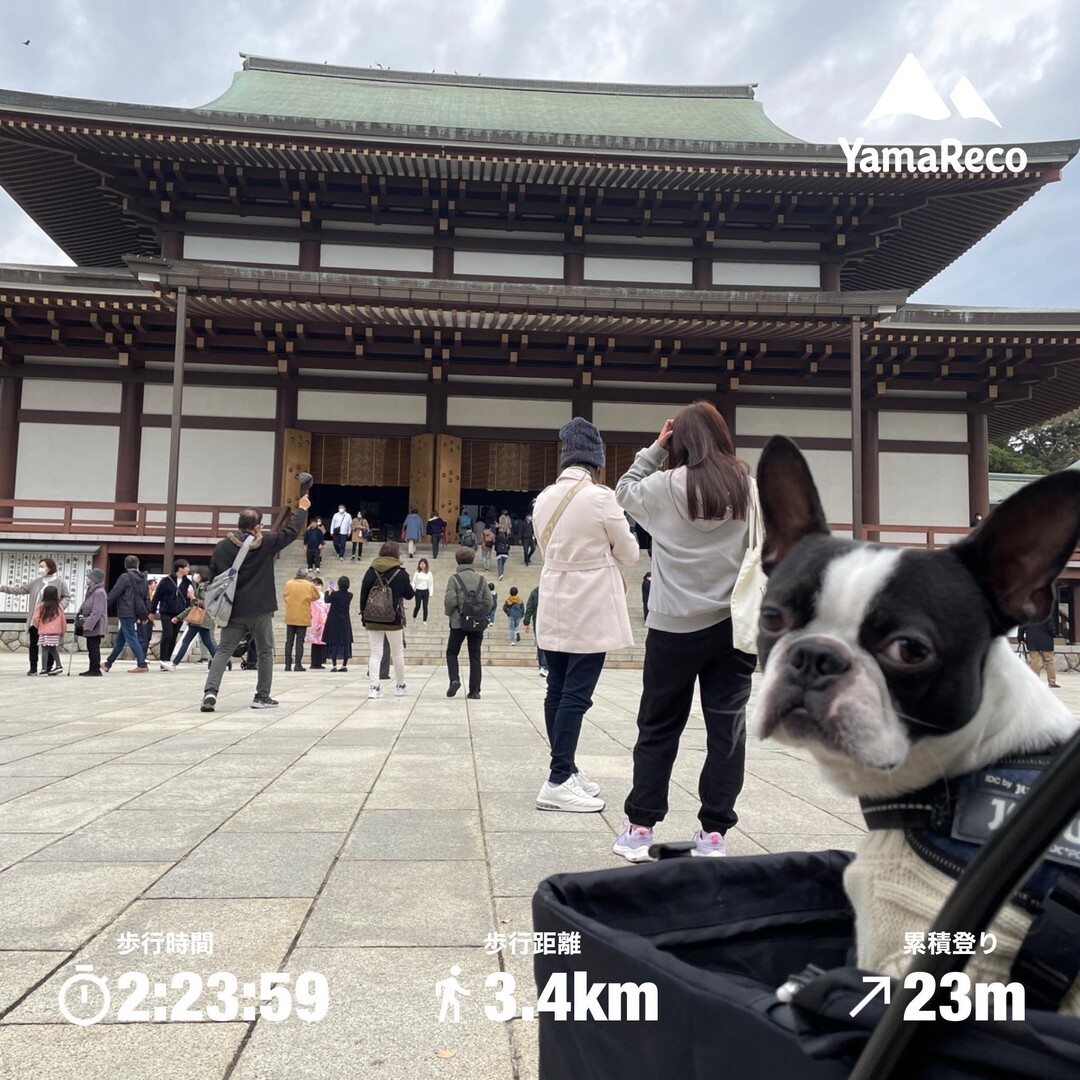 11月19日 神奈川県 晴れ☀️ 中華... / ISOさんのモーメント | YAMAP / ヤマップ