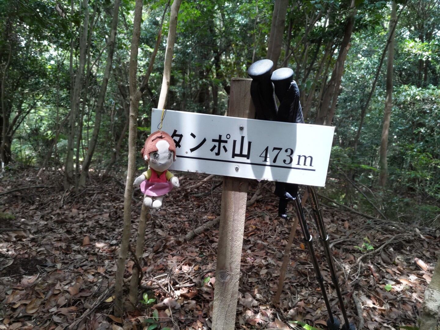 県民の森walk🚶de、タンポ山 / yanさんの西海市の活動データ | YAMAP / ヤマップ